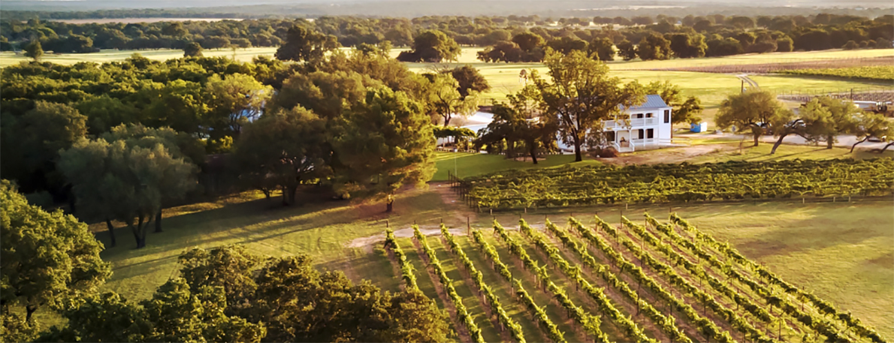 Fredericksburg - Hill Country Wine Tours